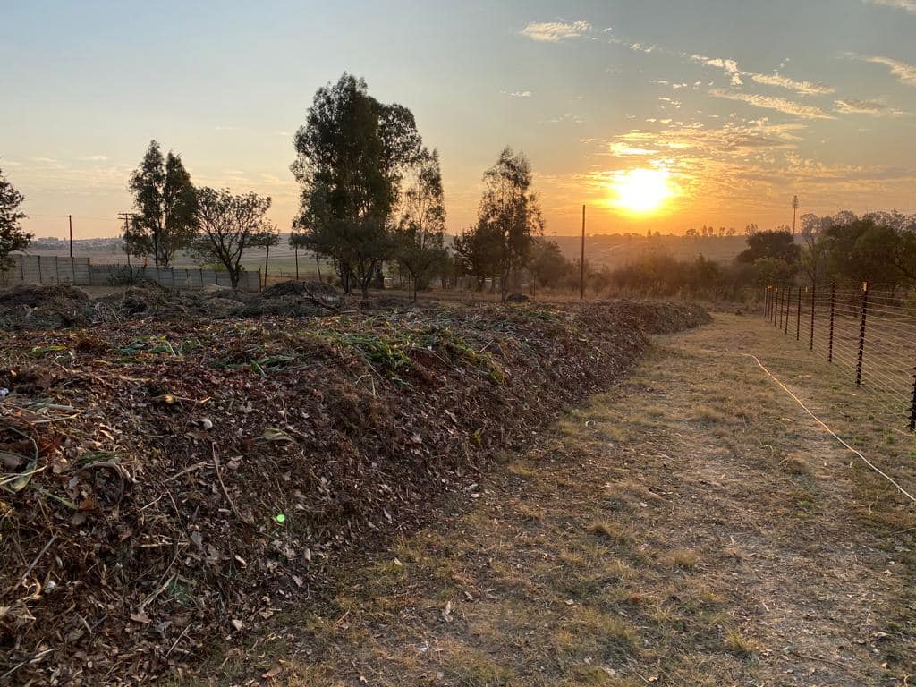 Composting: A Complete Beginner's Guide - Composting Solution for ...