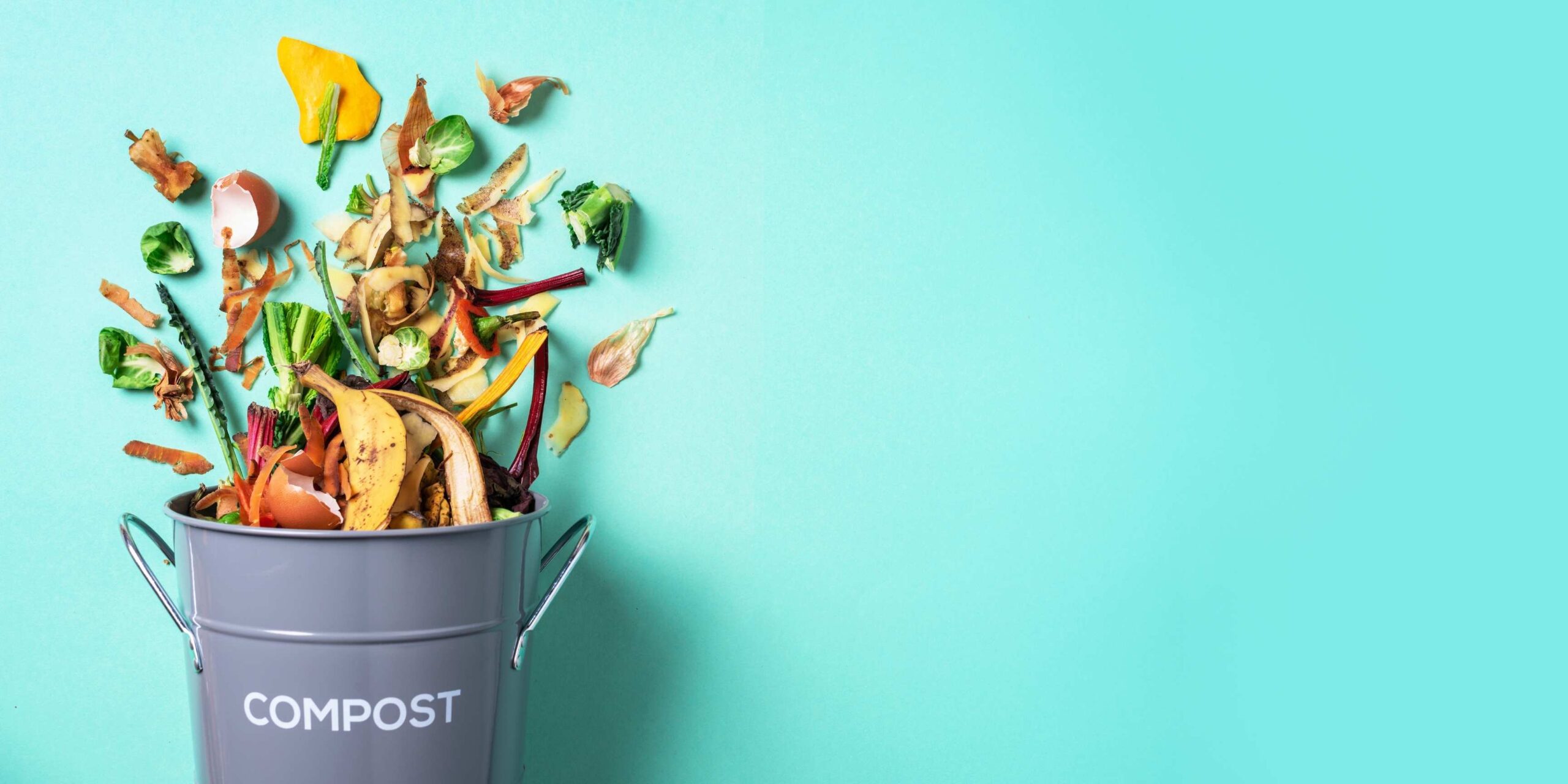 Composting: A Complete Beginner's Guide - Composting Solution for ...